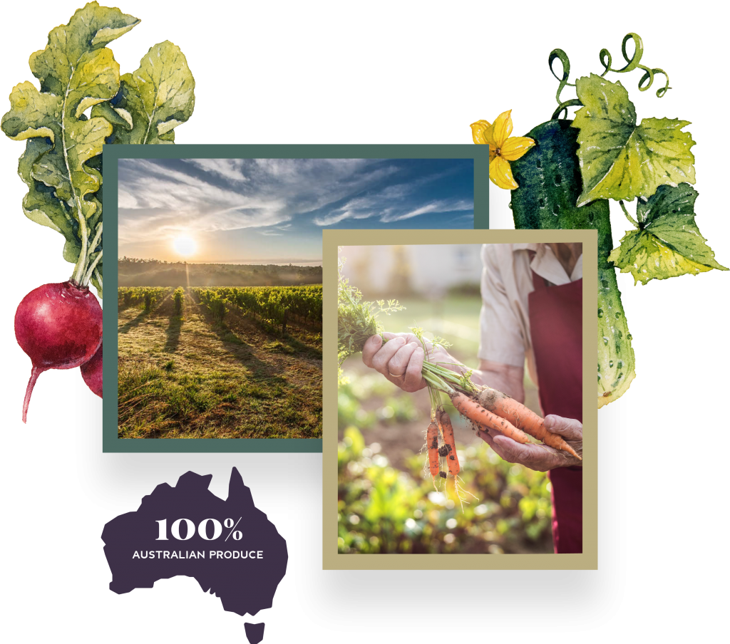 Menus Fresh – The Fresh Produce Providores